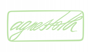 Agnes Toth Studio - The Studio